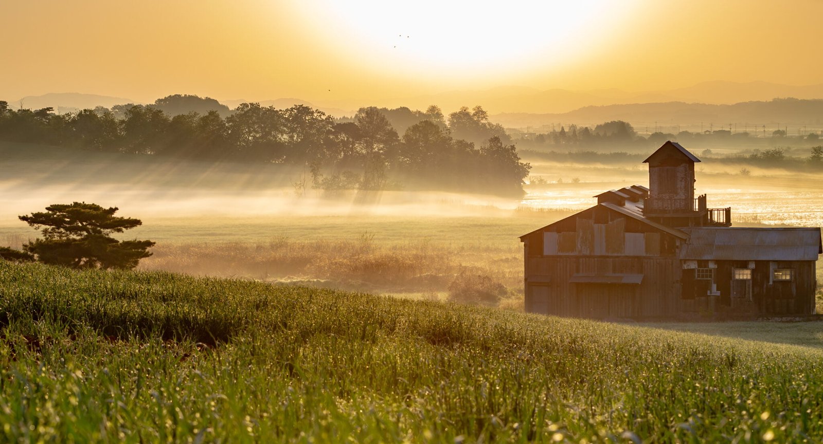 Farm Holiday Rentals | Book Direct for a Countryside Vacation